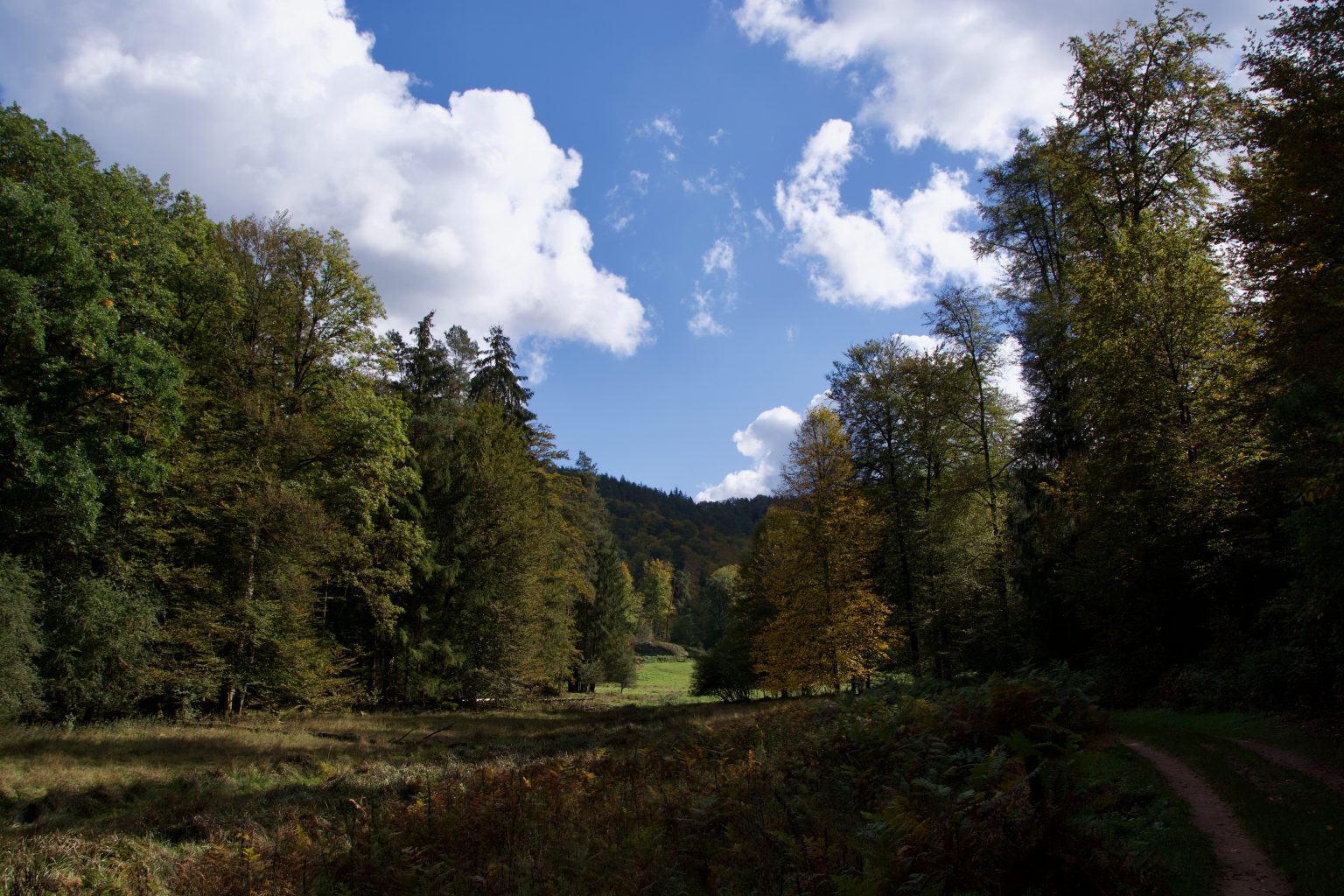 QUEICH : Von der Quelle bis zur Mündung – Franz Bellmann