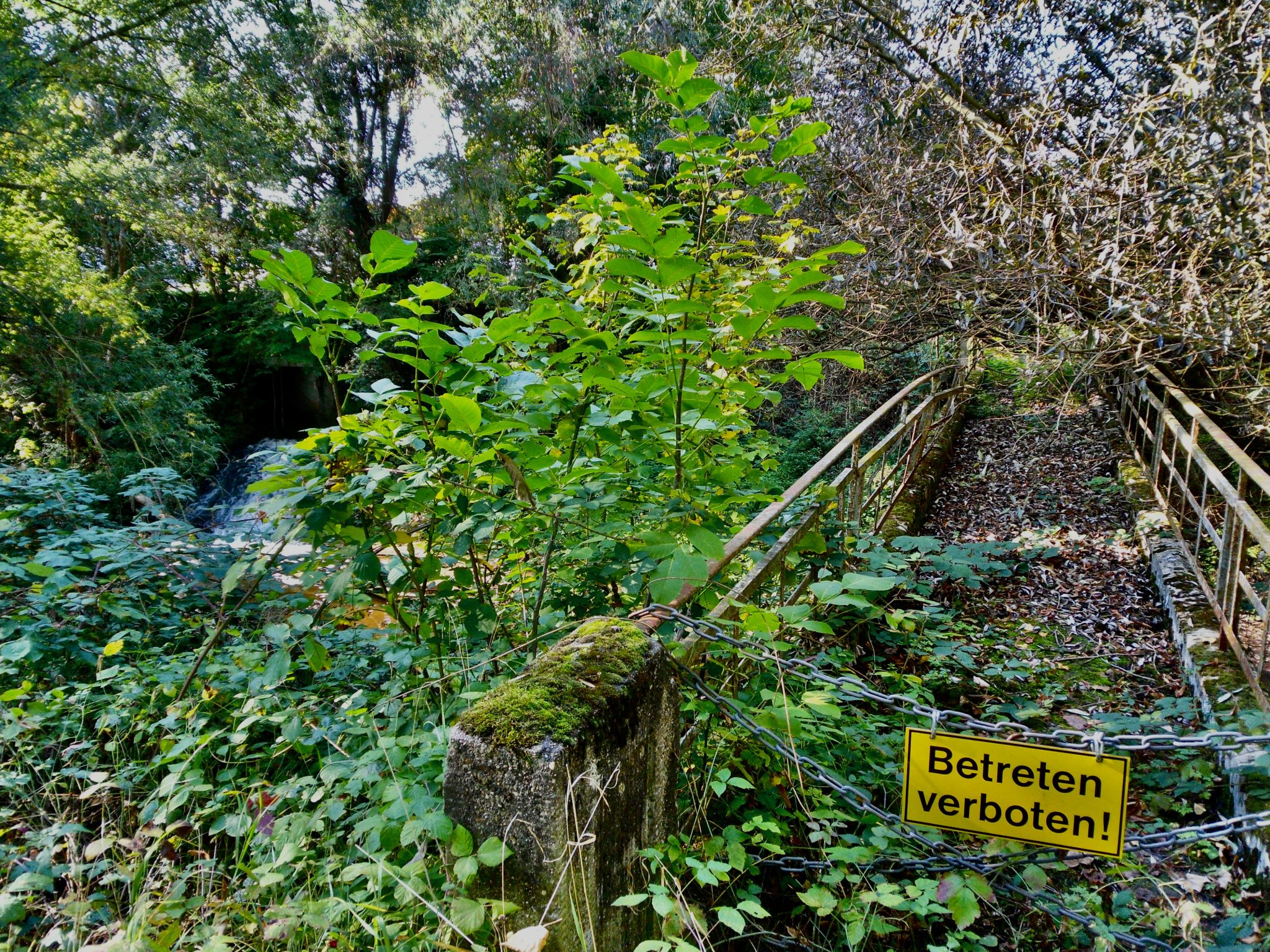 QUEICH : Von der Quelle bis zur Mündung – Franz Bellmann